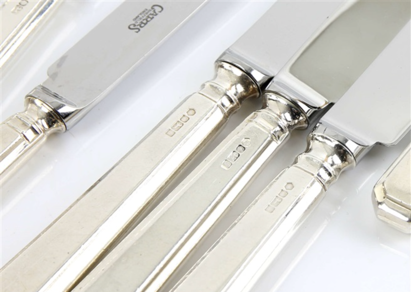 Carrs Silver – Iris Selections