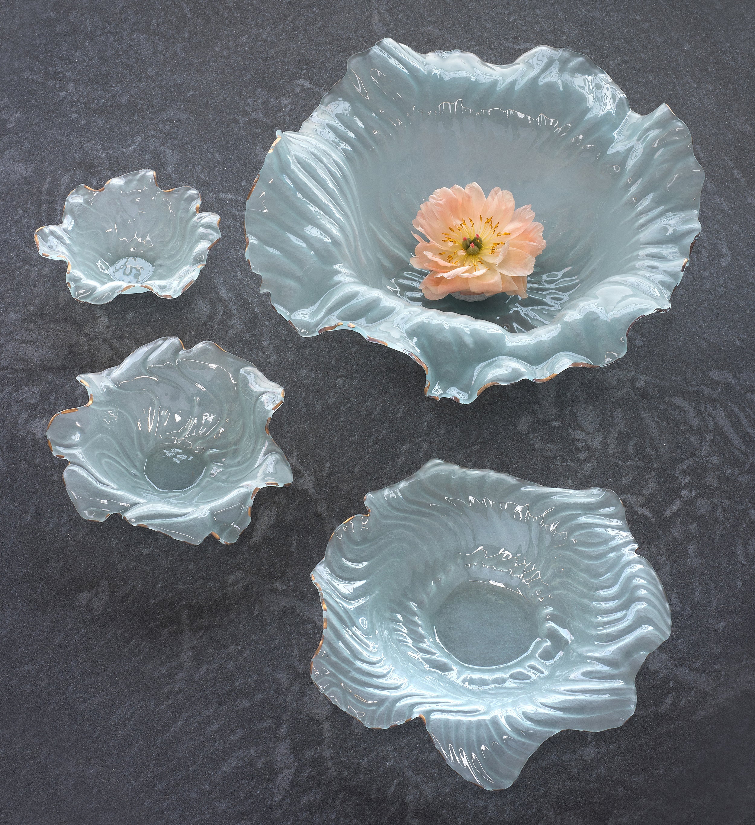 Iris Selections | POPPY