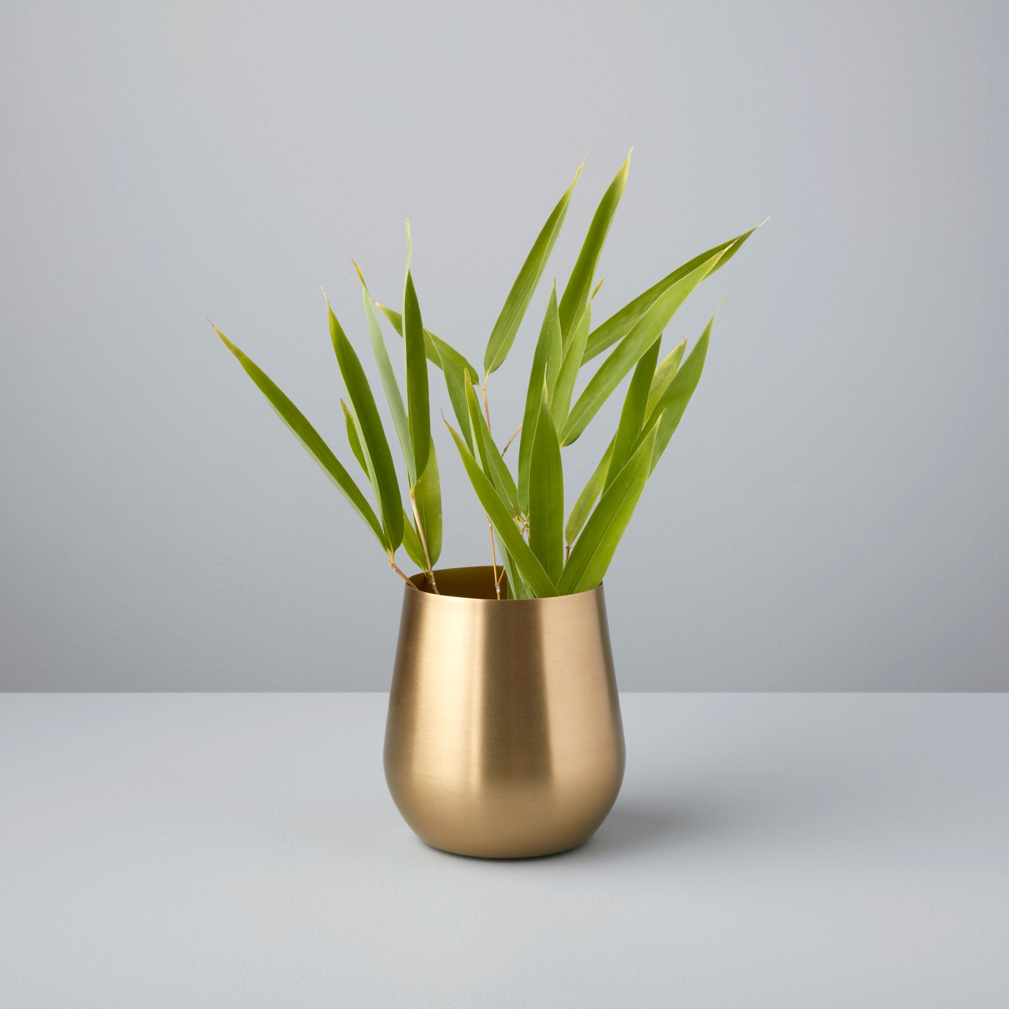 Small Selene Vase – Iris Selections
