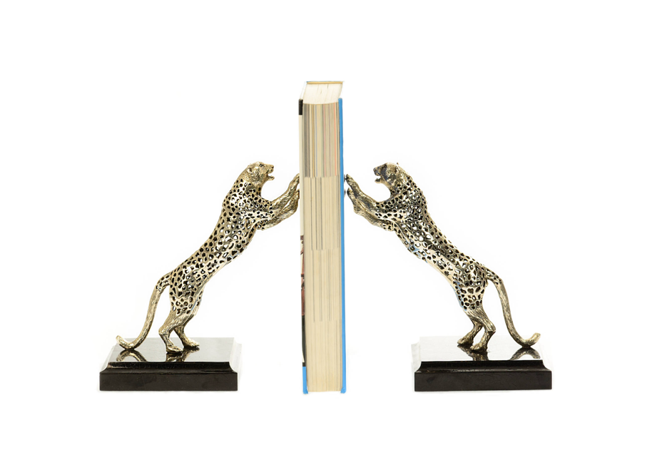 Iris Selections | Leopard Bookends